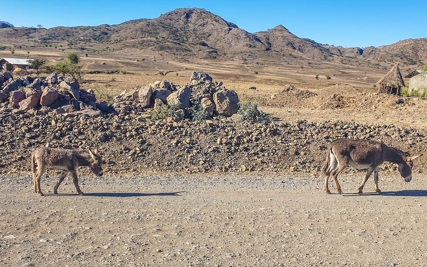 DAY16: Chillin’ in Debre Zeyit – Travel around the globe